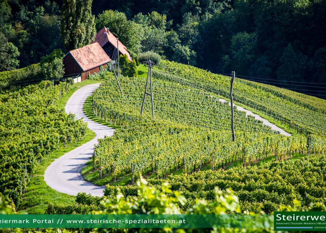 Qualitätsstufen des österreichischen Weines - Steirische Spezialitäten