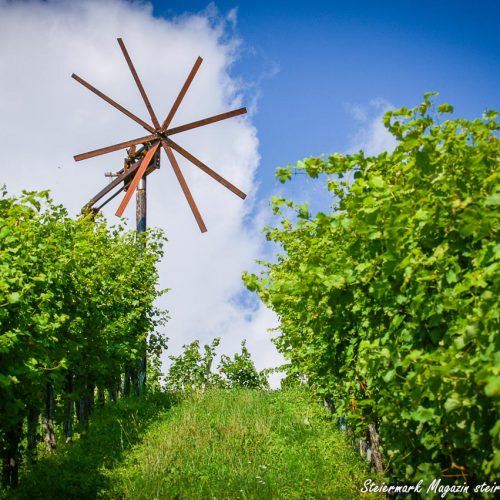 Weingut - Buschenschank Grabin - Steirische Spezialitäten