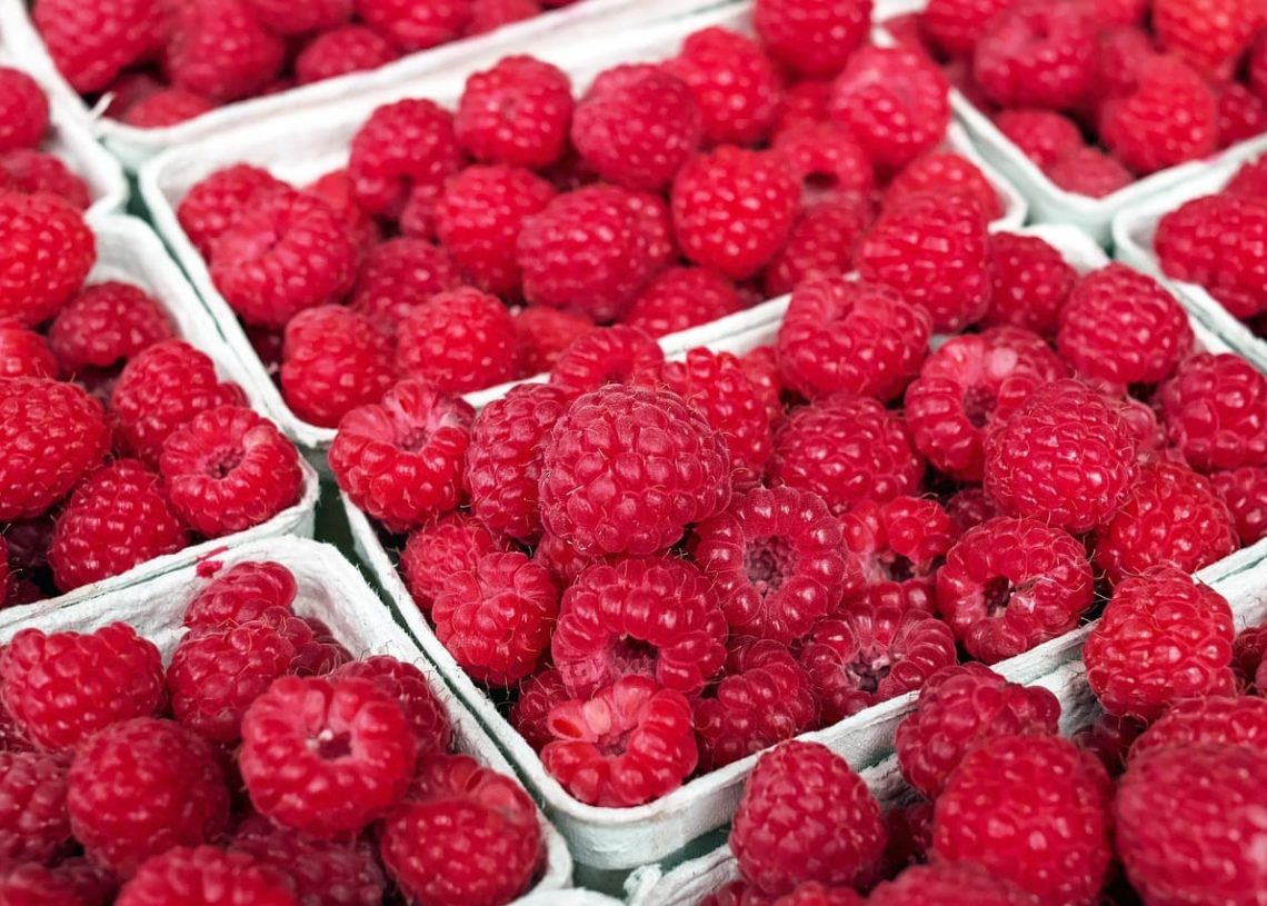 Beeren im Sommer: Ein Überblick über die Sortenvielfalt