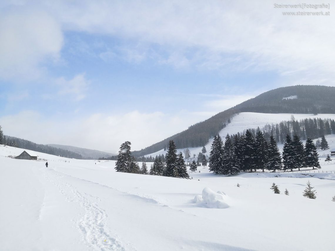 Winter auf der Teichalm & Sommeralm - Freizeitspaß im Schnee